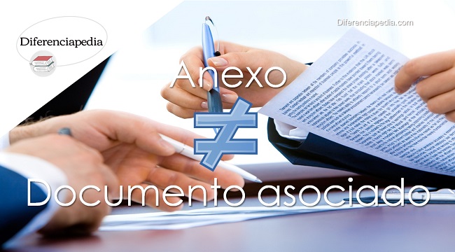 Glosario Vs Anexo: Explorando Las Diferencias – IRYZ