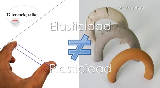 Diferencia entre elasticidad y plasticidad | Diferenciapedia.com: La ...