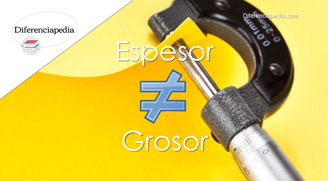 Diferencia entre espesor y grosor | Diferenciapedia.com: La Web de las ...